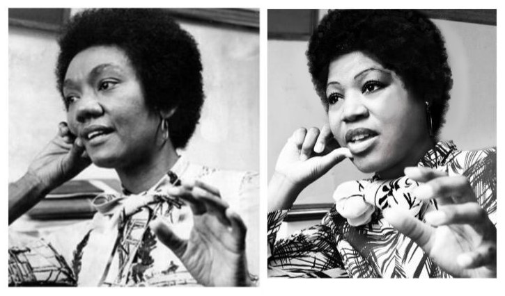 Dr. Frances Cress Welsing (1935 – 2016) Scholar, Psychiatrist, Lecturer ...